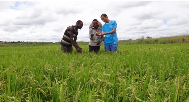 Strengthening South-South and Triangular Cooperation for global ...